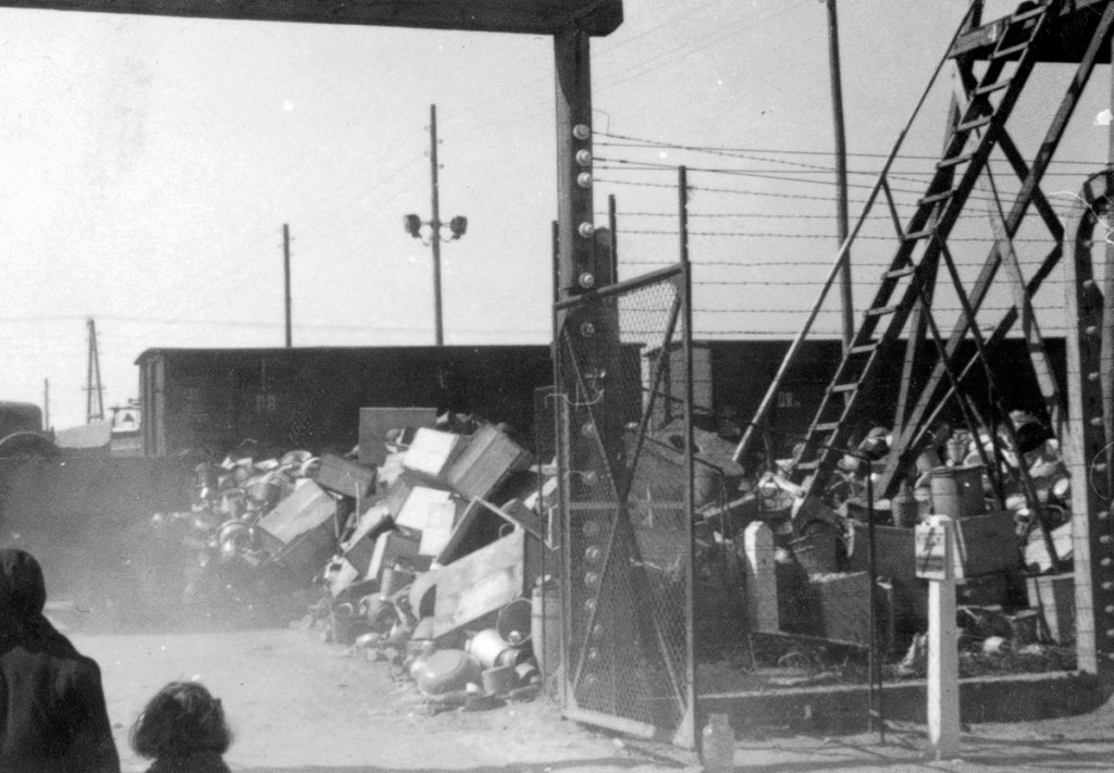 The mystery of the Auschwitz albums – History of Sorts