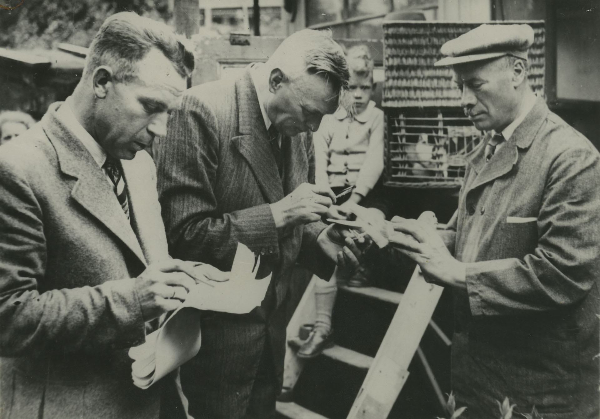 The Dove Brigade – History of Sorts