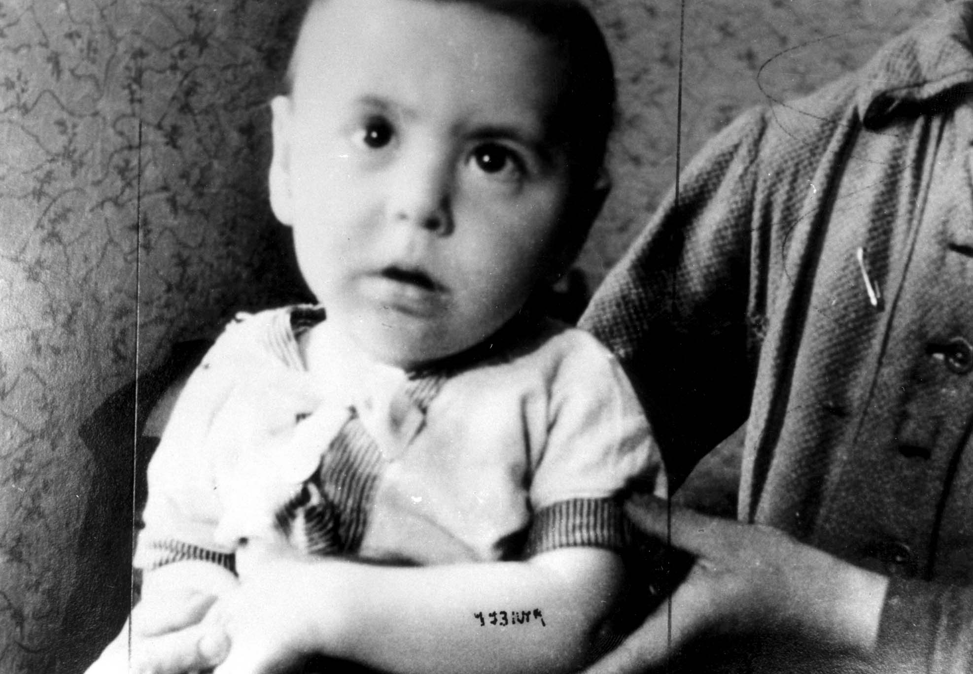 The Auschwitz Numbers – History of Sorts