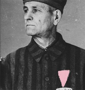 The Pink Triangle – History of Sorts