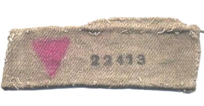 The Pink Triangle – History of Sorts