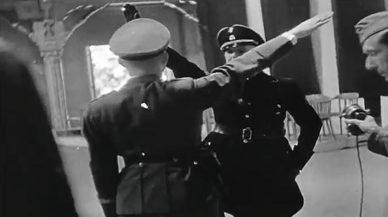 De Nederlandsche SS (The Dutch SS) – History of Sorts