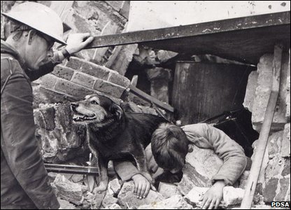 Dogs of War-Man’s best friend on duty in WWII – History of Sorts