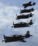 Flight 19-The Lost squadron – History of Sorts