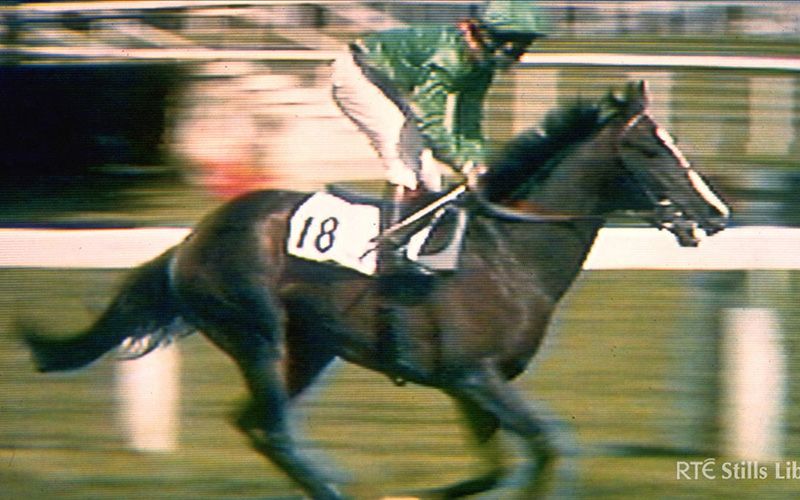 The Kidnapping of Shergar – History of Sorts
