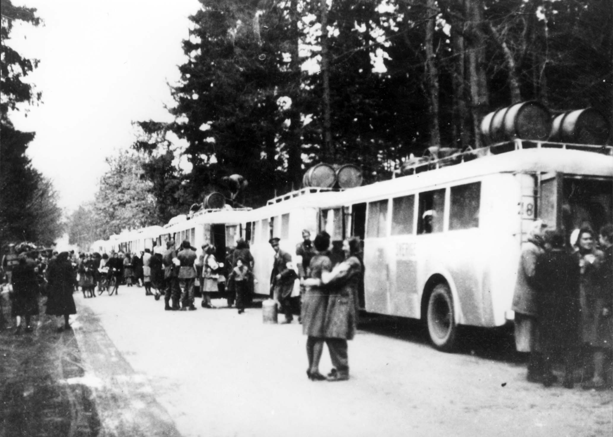 The white Buses- A positive Holocaust story – History of Sorts