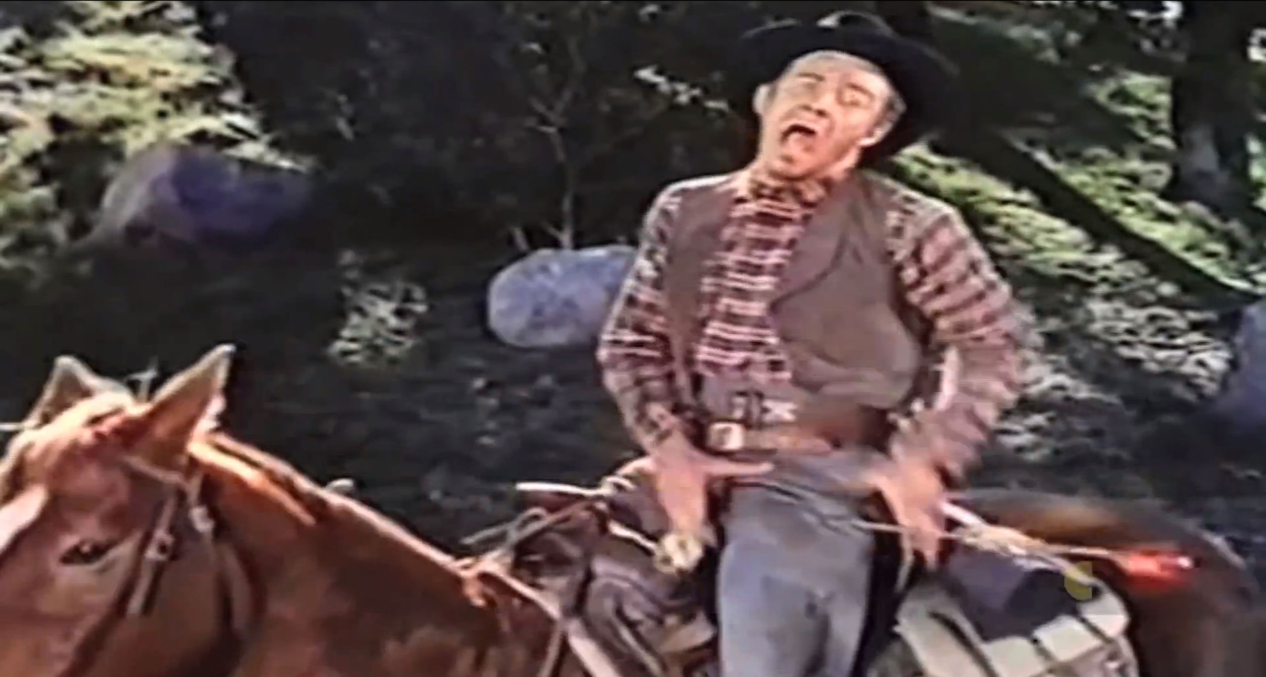 The Wilhelm Scream – History of Sorts