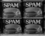 SPAM – History of Sorts
