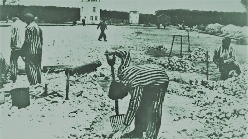 The Concentration Camps – History of Sorts