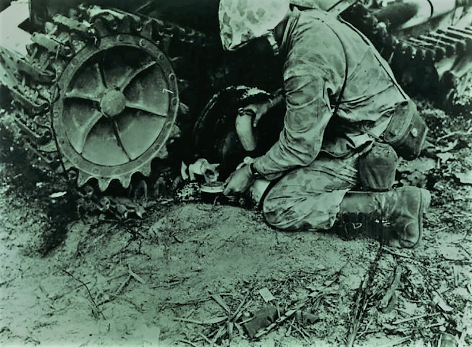 Cats of World War II – History of Sorts