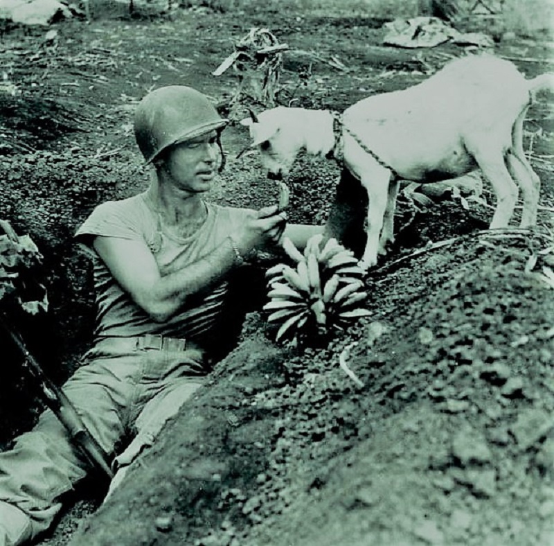 World War II in Photos – History of Sorts