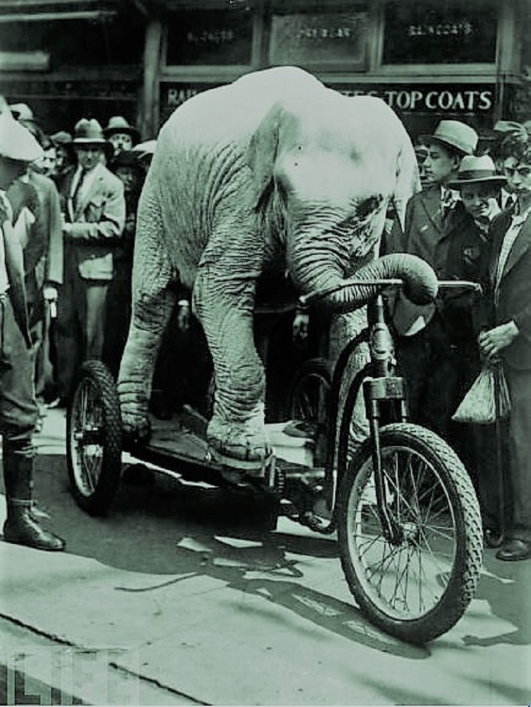 The electrocution of Topsy the Elephant – History of Sorts