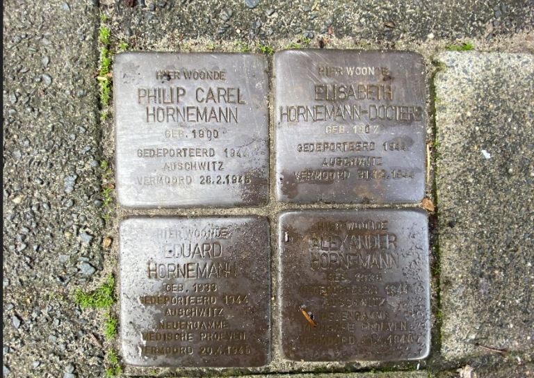 Eduard and Alexander Hornemann—Used as Experiments and Murdered ...