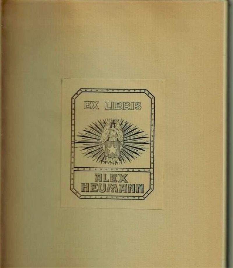 Forget me not – History of Sorts