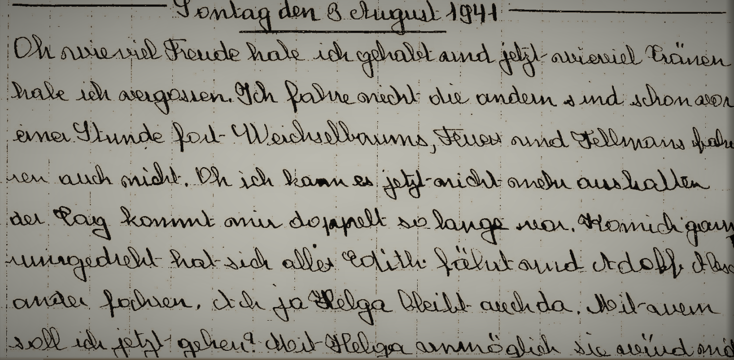 Holocaust Diaries – History of Sorts