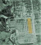 Fredy Hirsch—Holocaust Hero – History of Sorts