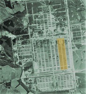 Fredy Hirsch—Holocaust Hero – History of Sorts