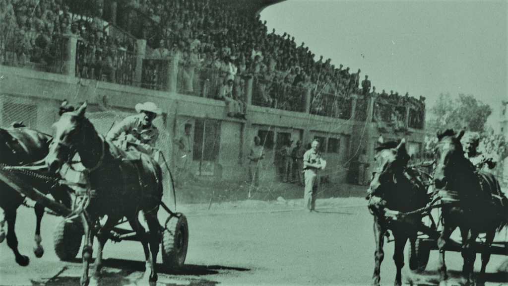 World War 2 Rodeo – History of Sorts