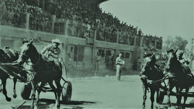 World War 2 Rodeo – History of Sorts