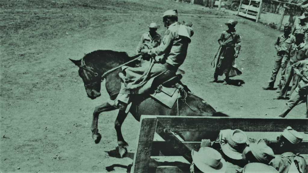 World War 2 Rodeo – History of Sorts