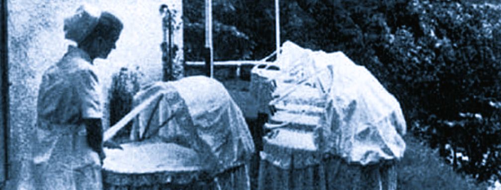 lebensborn – History of Sorts