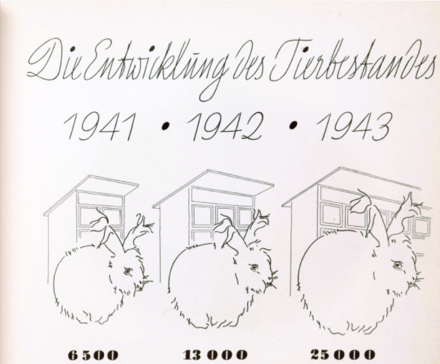 Project Angora—Rabbits in Concentration Camps – History of Sorts