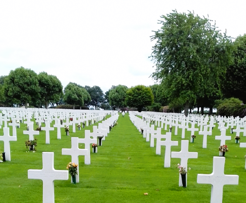 Their Sacrifice—Our Guiding Cause – History of Sorts