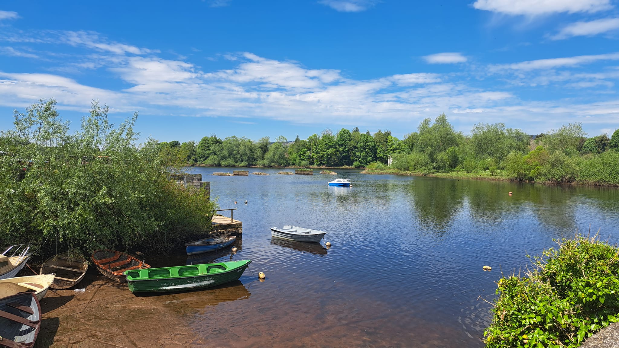 My Interview with Adam Kearney—Candidate for Limerick City and County ...