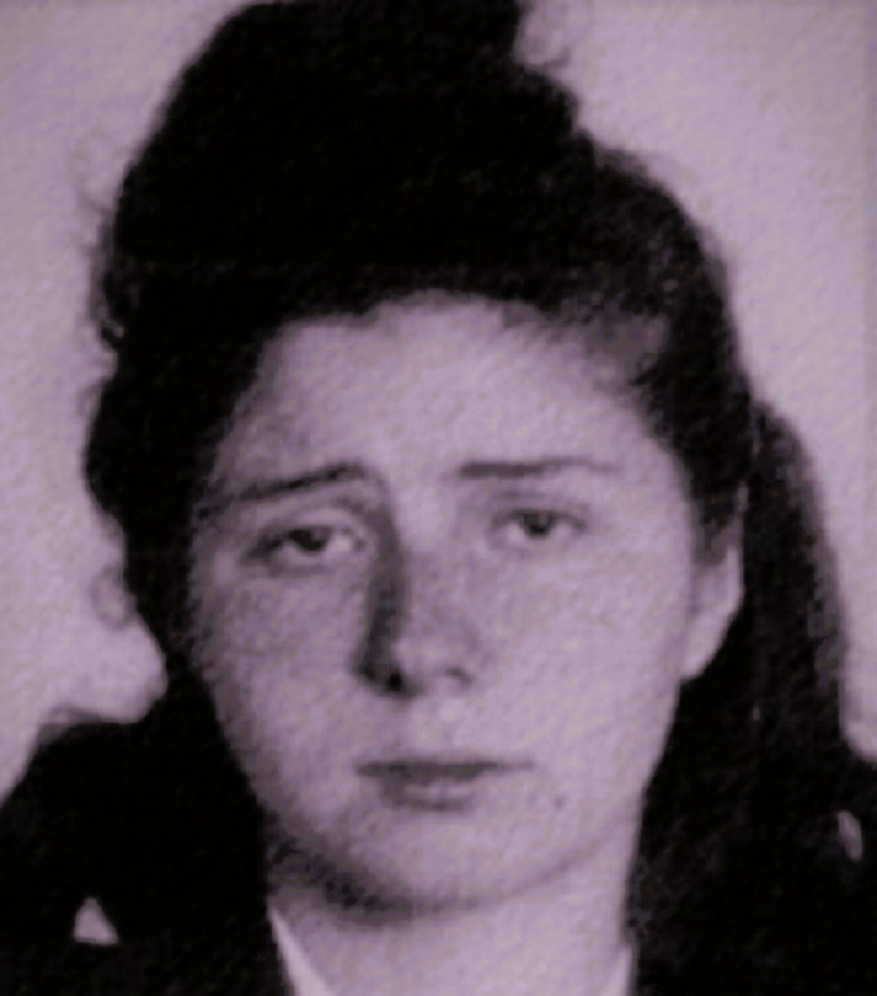 Hermann Stieve: A Prominent Anatomist in a Dark Era – History of Sorts