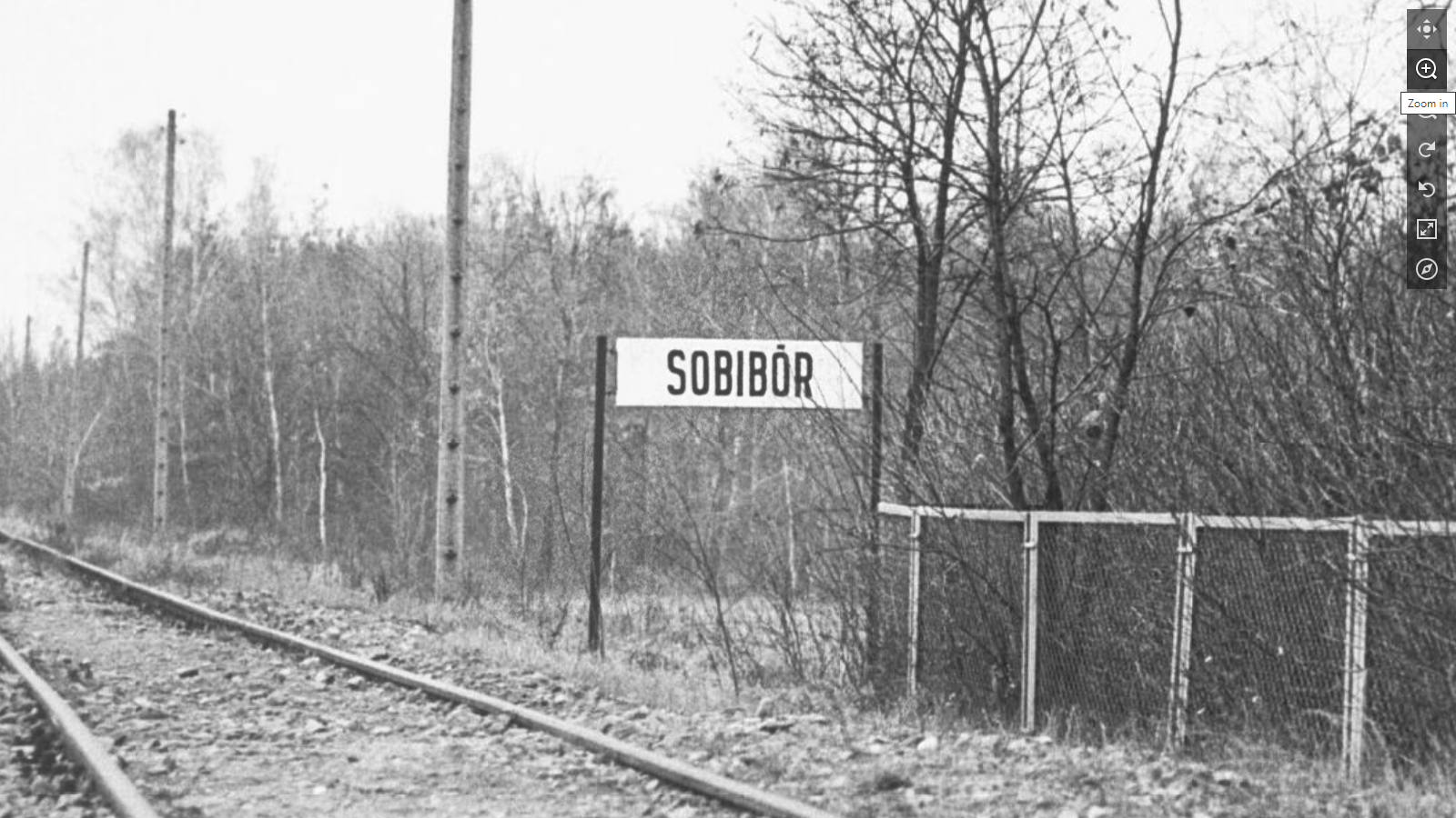 The Sobibor Revolt: A Defiance in the Face of Despair – History of Sorts