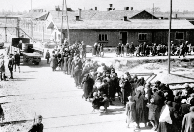 Zyklon B: From Pesticide to Instrument of Mass Murder During the ...