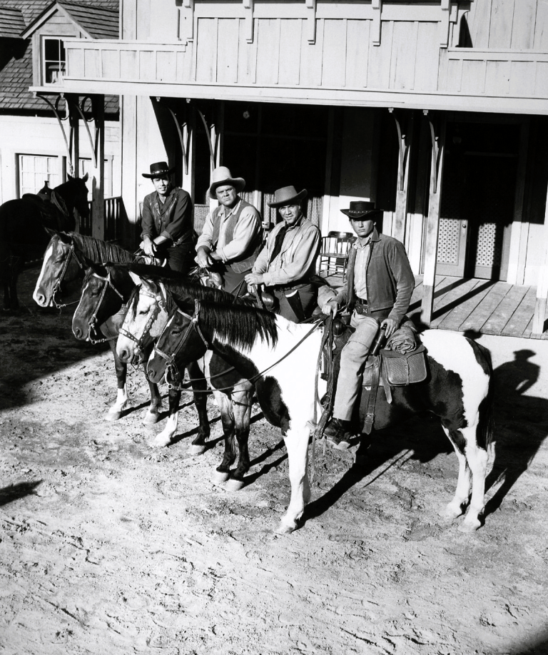 Bonanza -The Mothers – History of Sorts