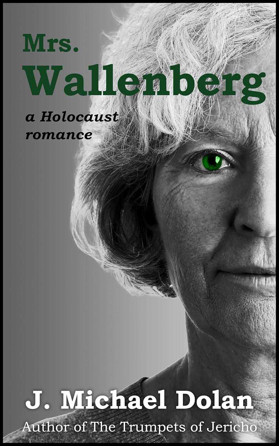 My interview with John Michael Dolan -Author of Mrs. Wallenberg: a ...