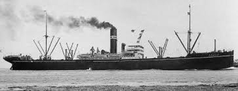 Eiji Sawamura and the Tragedy of the Hawaii Maru: Baseball, War, and a ...